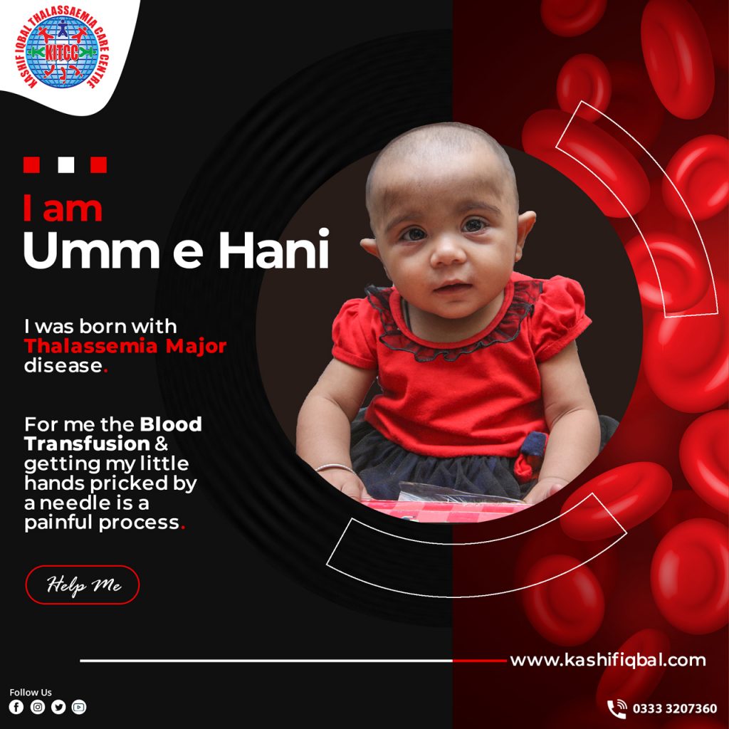 Portfolio – Gemsols Technologies